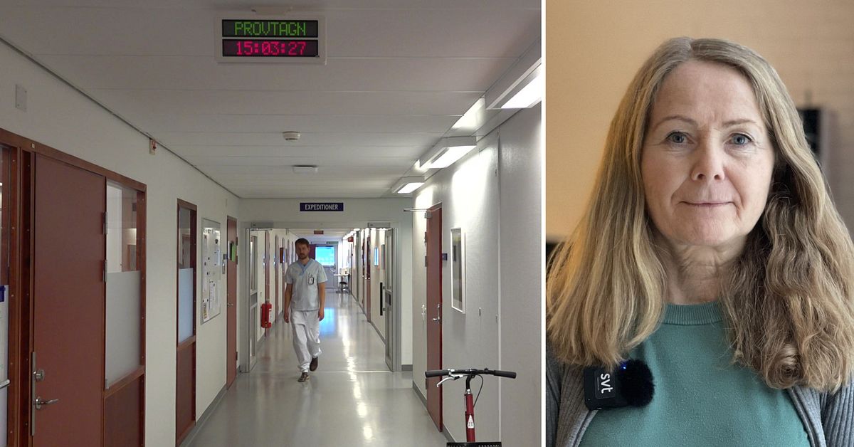 Ansträngt läge på Norrlands Universitetssjukhus – fler behöver vård för covid-19 | SVT Nyheter