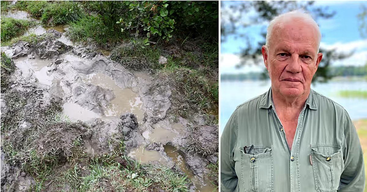 Man fast i lera i ett dygn – hittades av fågelskådare | SVT Nyheter