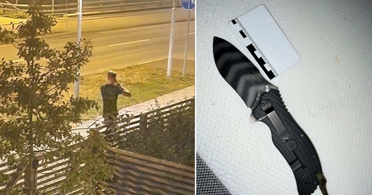 17-åring planerade mörda Iranexpert – döms till ungdomsvård | SVT Nyheter