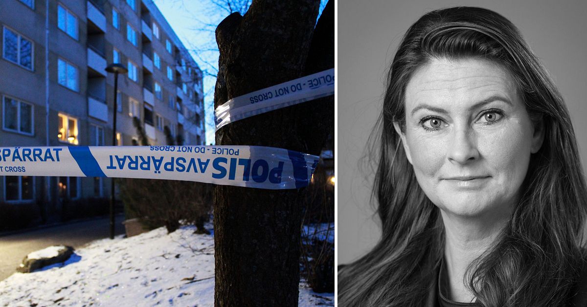 Dom efter uppmärksammat mord i Flemingsberg fastställs – Hovrätten ...