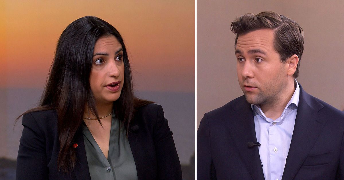 Nooshi Dadgostar (V) kräver vapenembargo mot Israel och handelsstopp ...