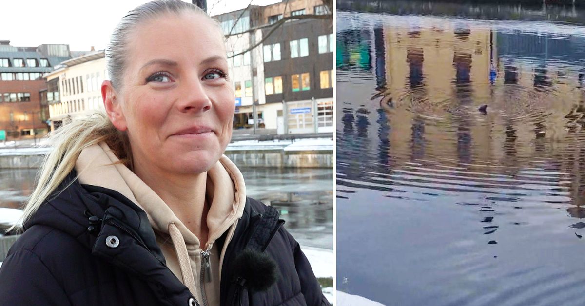 Nyfiken utter i centrala Sundsvall – Sara fångade den på film längs ...