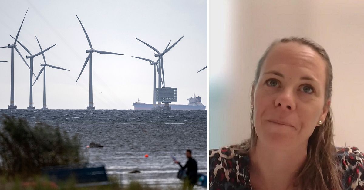 Vindkraftsparker utanför Karlskrona stoppades: ”Olyckligt för södra Sverige” | SVT Nyheter