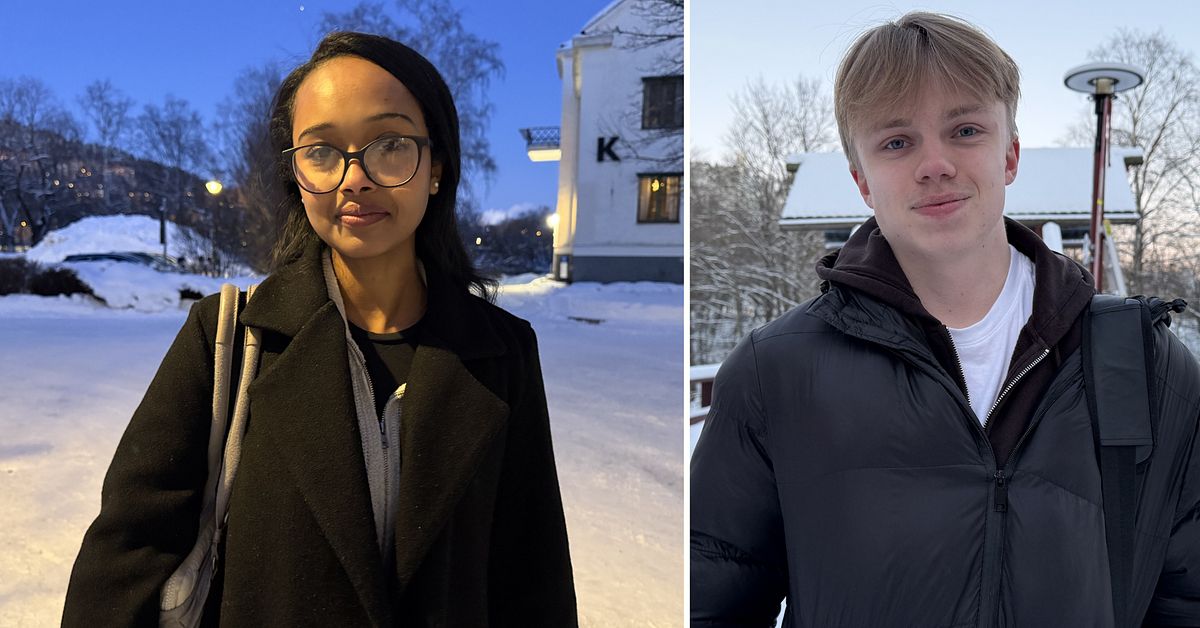 Stopp för politisk reklam – så påverkas förstagångsväljare | SVT Nyheter