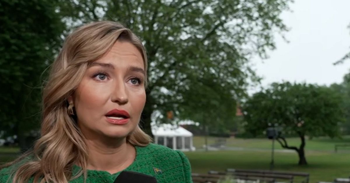 Busch (KD): Sätt stopp för vårdnedläggningar – Almedalen 2025 – följ senaste nytt | SVT Nyheter