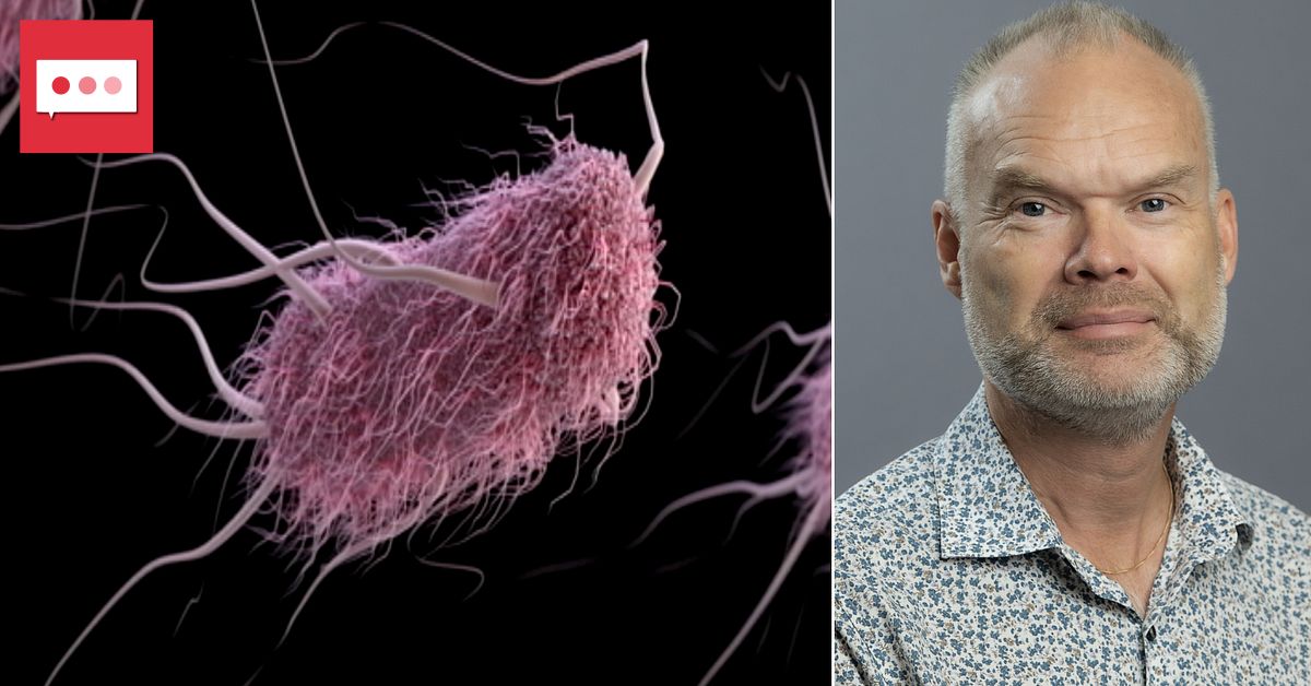 Multiresistent bakterie ökar i Västmanland – sprids på flera sätt ...