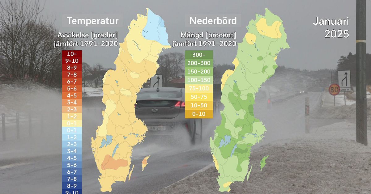 Analys: ”Januari 2025: Först kallt och snöigt, sedan rejält milt” | SVT ...