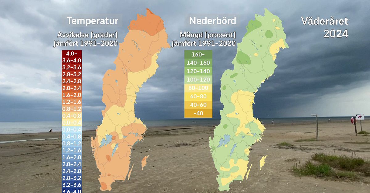 Analys: ”Väderåret 2024: Milt och varmt övervägde” | SVT Nyheter