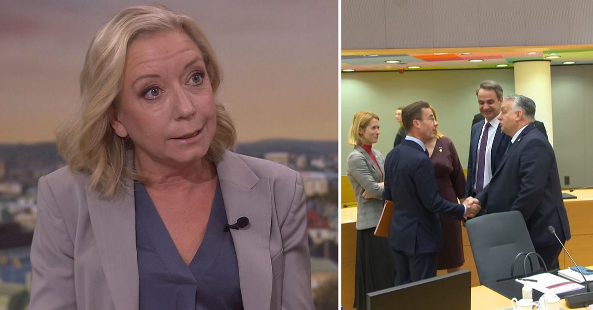 Elisabeth Marmorstein: ”Sista akten i Natodramat” – Senaste nytt om ...