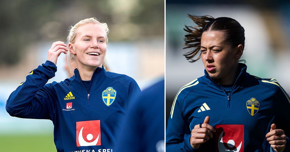 Fotboll: Blågult kallar in Kapocs och Rybrink: ”Ett annat upplägg ...