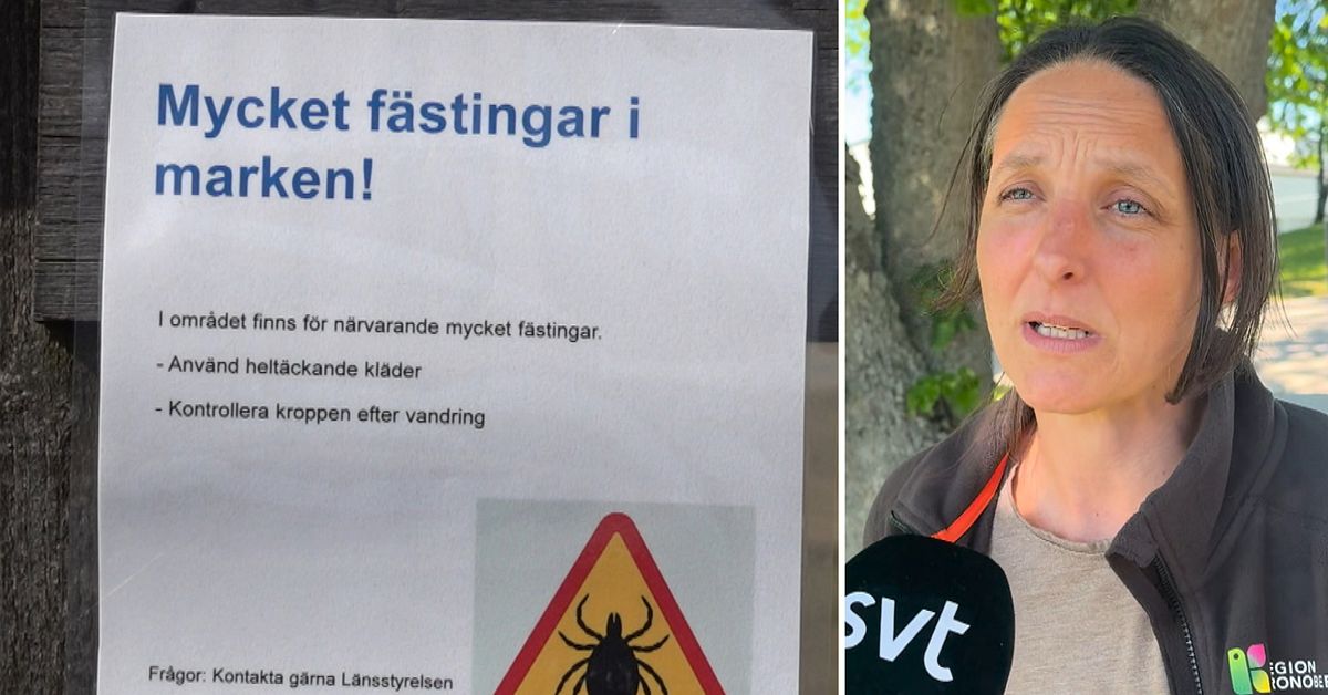 Därför påminner Region Kronoberg inte om TBE-vaccin: Finns risker | SVT ...
