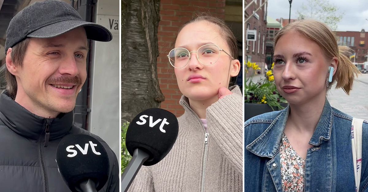 Vad gör en lokalpolitiker – så tror unga väljare | SVT Nyheter