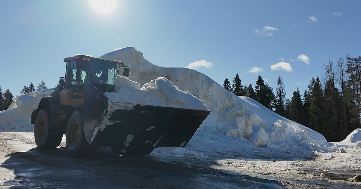 Här töms snölagret för att rädda skidtävlingarna under SM-veckan i Umeå ...