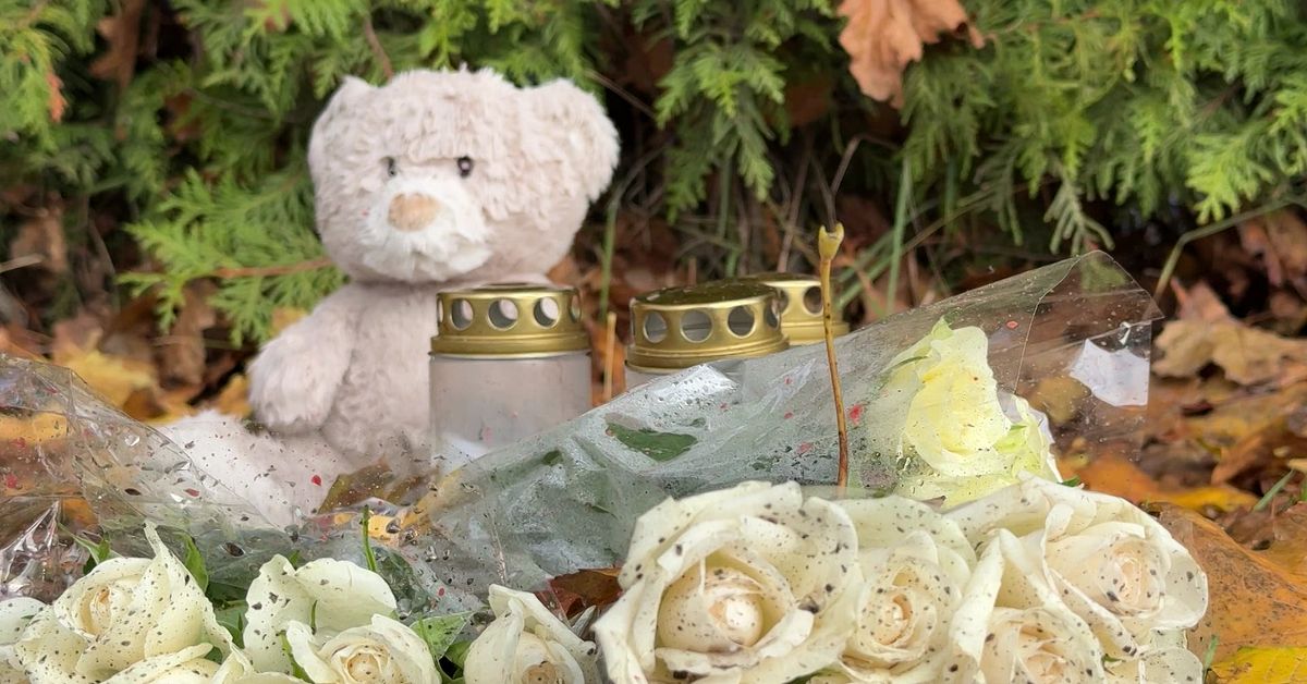 Efter dödsskjutningen i Fornhöjden – tredje person häktad | SVT Nyheter