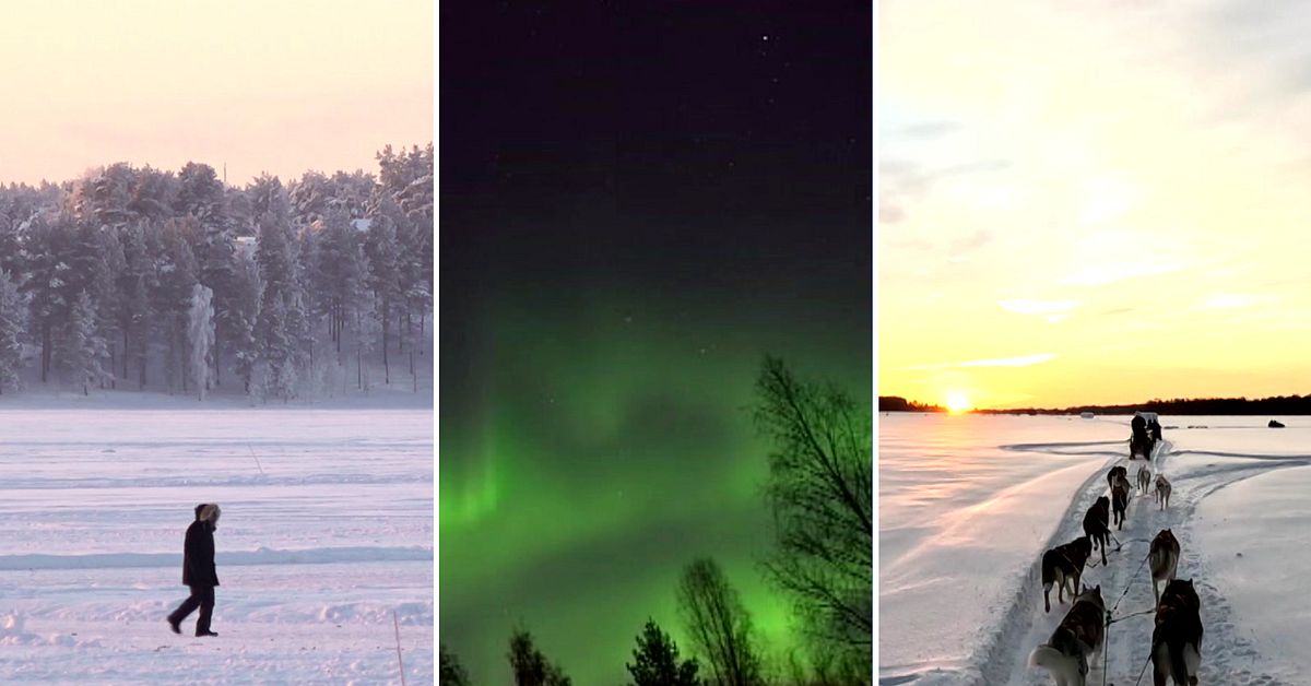 Därför skapar snö och kyla turistboom i Norrbotten | SVT Nyheter