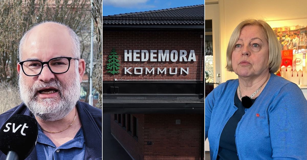 Hedemoras kommunalråd Ann-Marie Stenberg Carlsson (S) avgår | SVT Nyheter