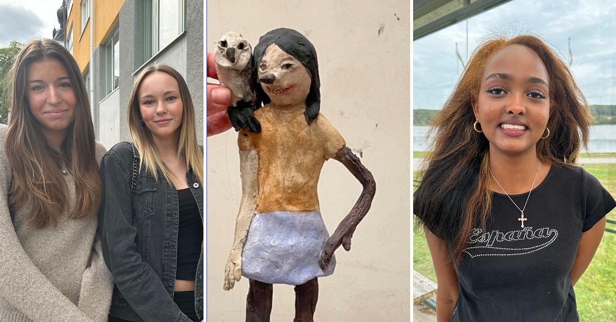 Hudiksvallsbon om nya statyn: ”Den är vidrig” | SVT Nyheter