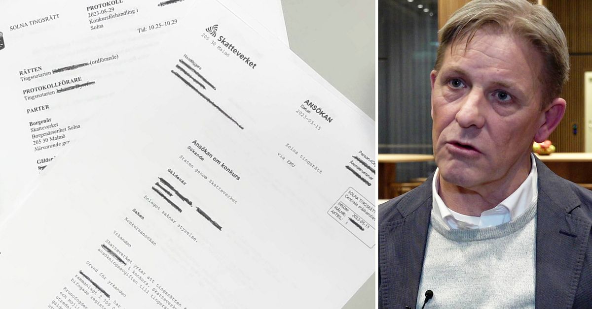 Var tredje person i organiserade brottsligheten har haft ...