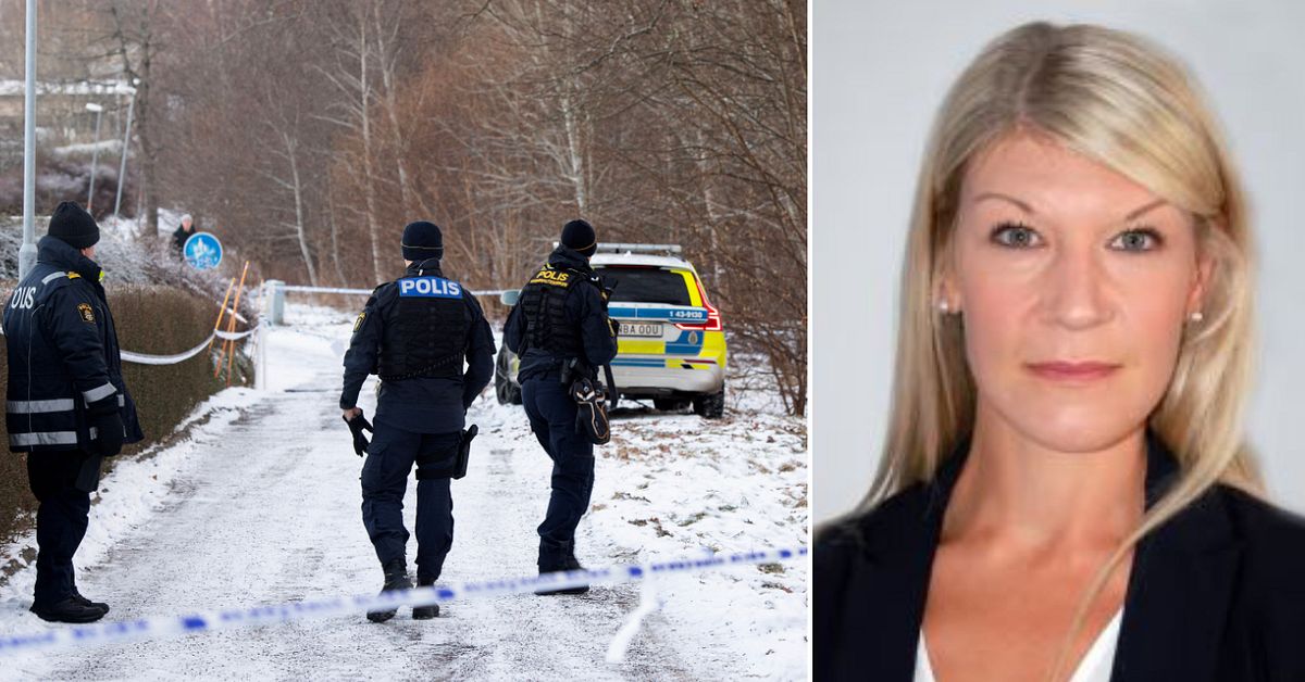 Efter efterlysning i sociala medier: Fler vittnen hörda om ...