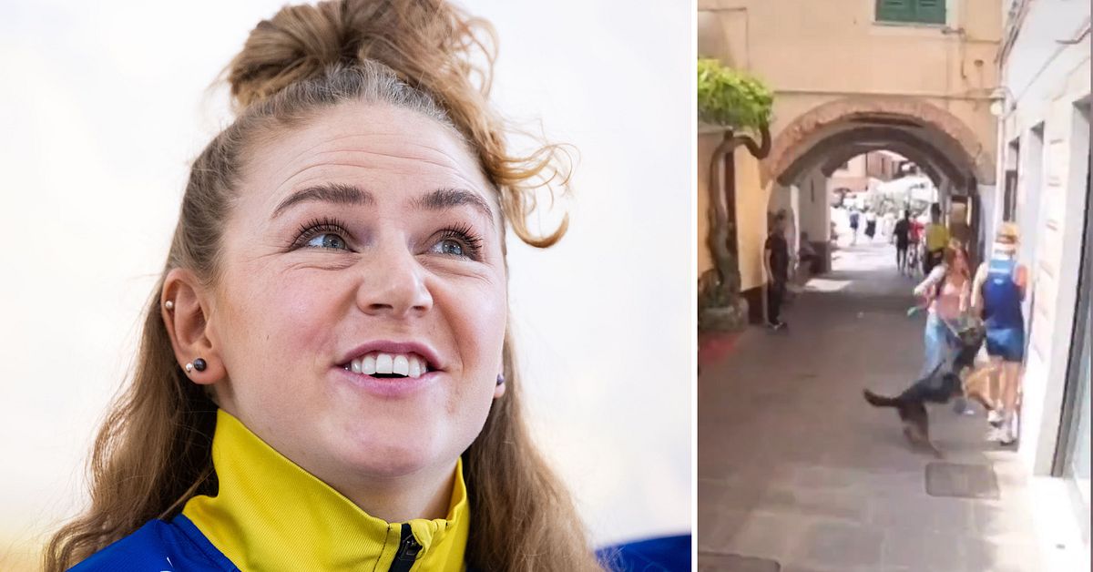 Orientering: Karolin Ohlsson blev attackerad av hund i världscupen ...