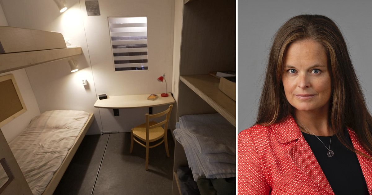 Nyköpingåklagaren om att straffa 13-åringar: ”Väldigt dåligt förslag ...