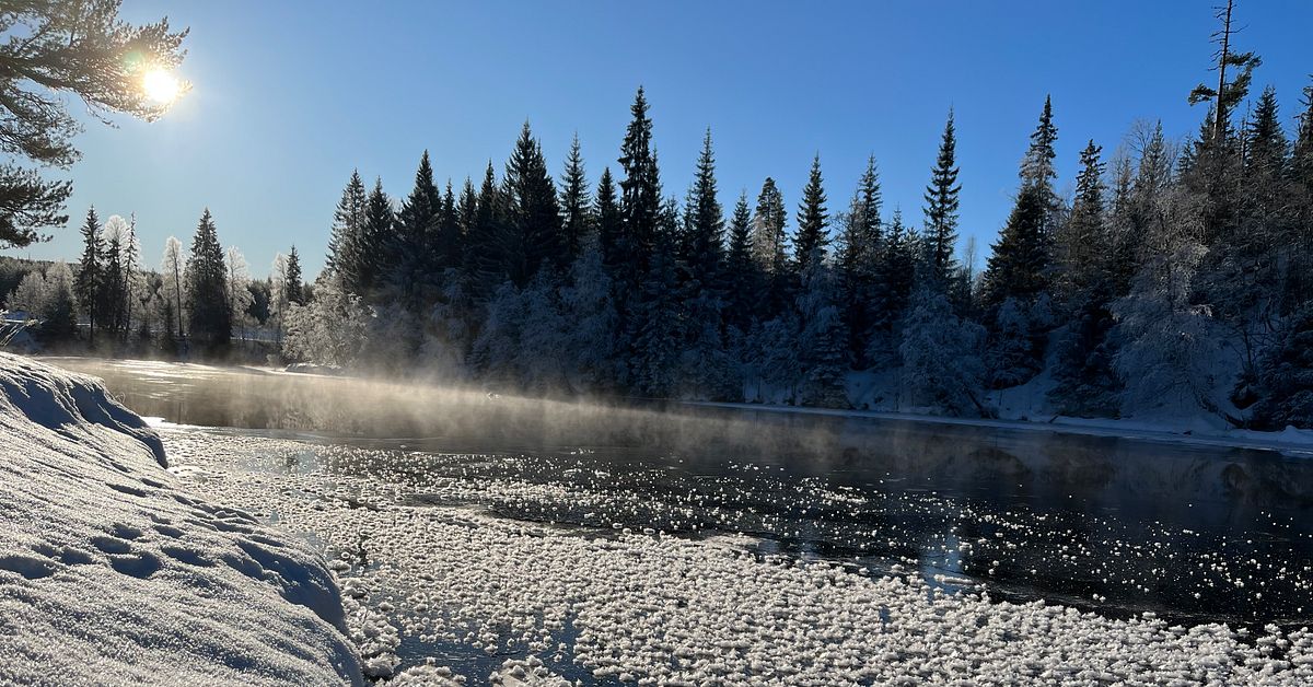 Tittarbilder februari 2025 – skicka din bild till SVT Väder | SVT Nyheter