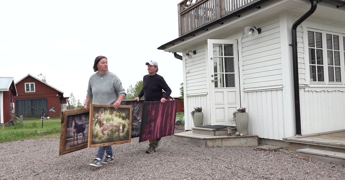 Sanna lämnade vapenindustrin – förverkligar dröm om fotogalleri i ...