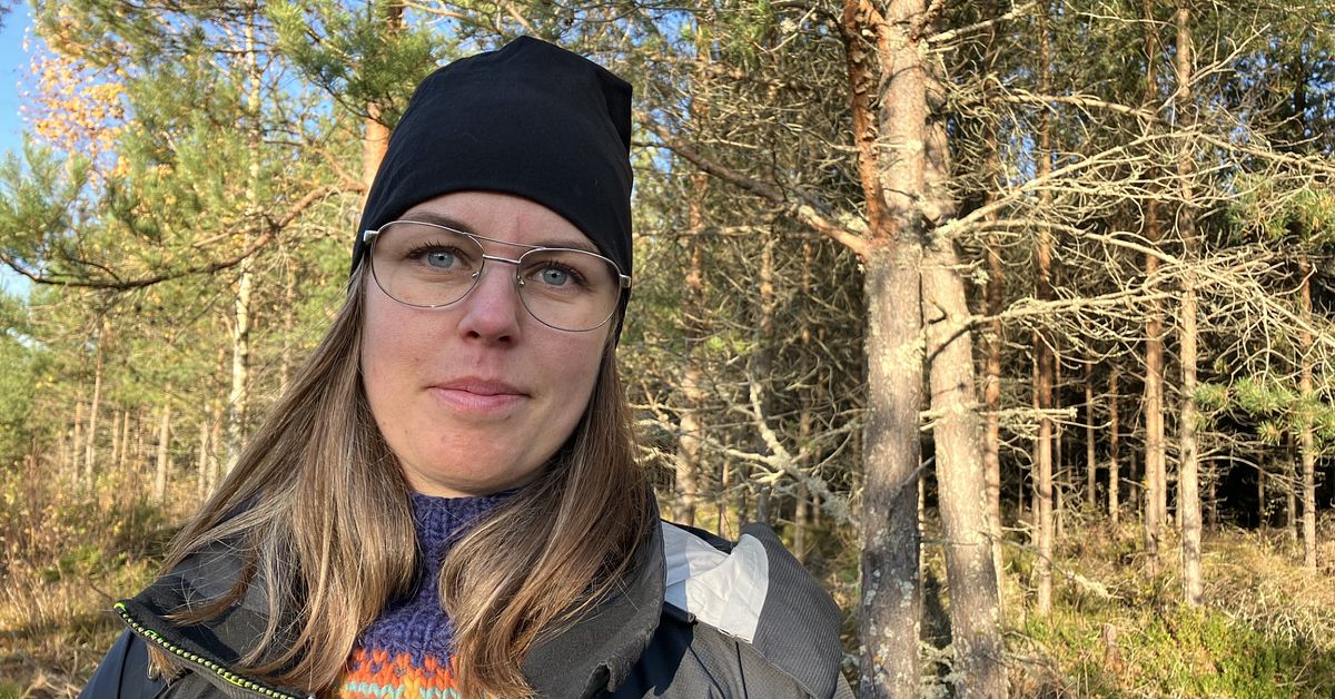 Mål för tall på mager mark uppnått – men inte i Värmland | SVT Nyheter