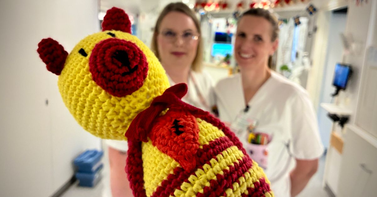 Bara en virkad katt kvar på Barnhjärtcentrum – vädjar om nya ...