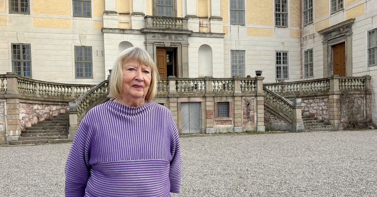 Förening orolig när Mälsåkers slott kan säljas: ”Viktigt besöksmål ...