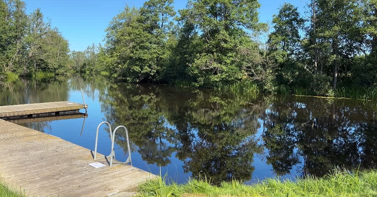 Här ska du inte bada – otjänligt vatten vid Norsebäcksbadet | SVT Nyheter