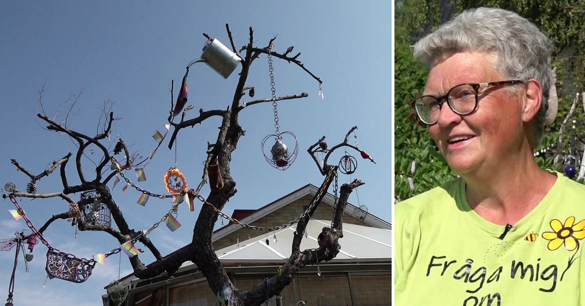 Monica in Boden has dedicated 35 years to her "trashy" garden - Teller ...