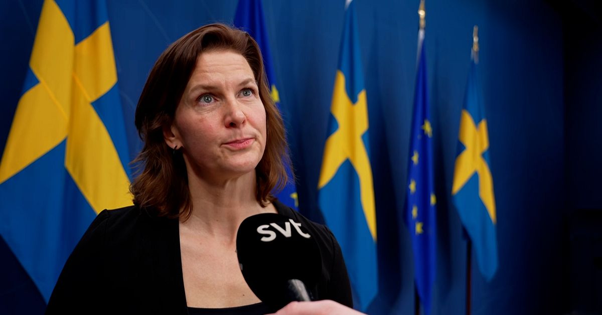 Nina Larsson (L) blir ny jämställdhetsminister | SVT Nyheter