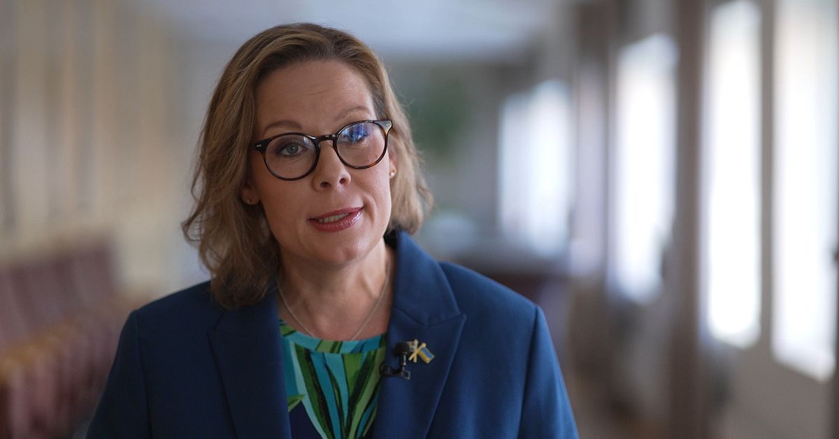 Migrationsministern: ”Stor respekt för om det skapar problem” | SVT Nyheter