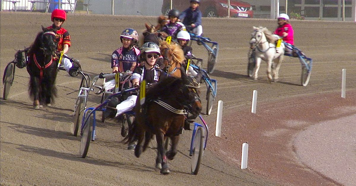 Ponnytrav i Årjäng lockade flera unga kuskar: ”Otrolig utveckling ...
