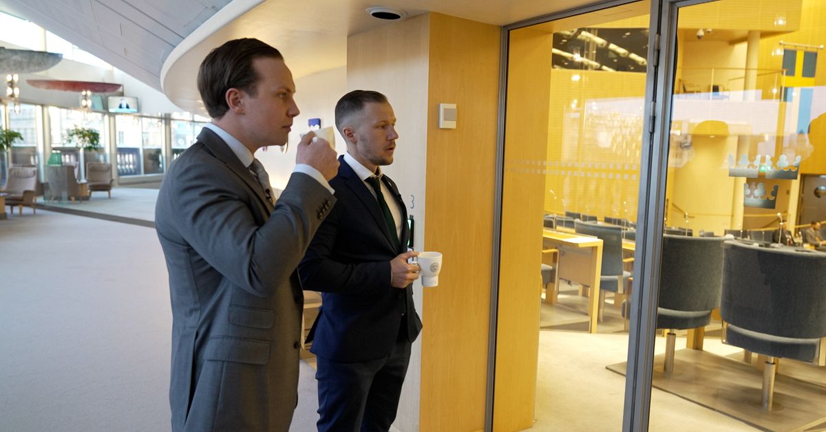 Andersson (SD): ”Håller med Trump i woke-debatten” | SVT Nyheter