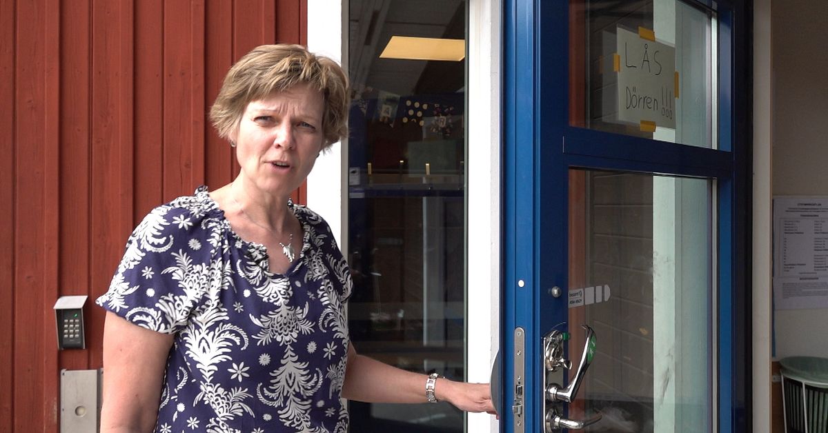 Älmhult och Nybro startar resursskolor för elever i behov av särskilt ...