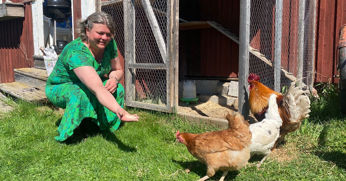 Bodil i Stöde pluggar på distans: ”Kan kombinera det med livet i övrigt ...