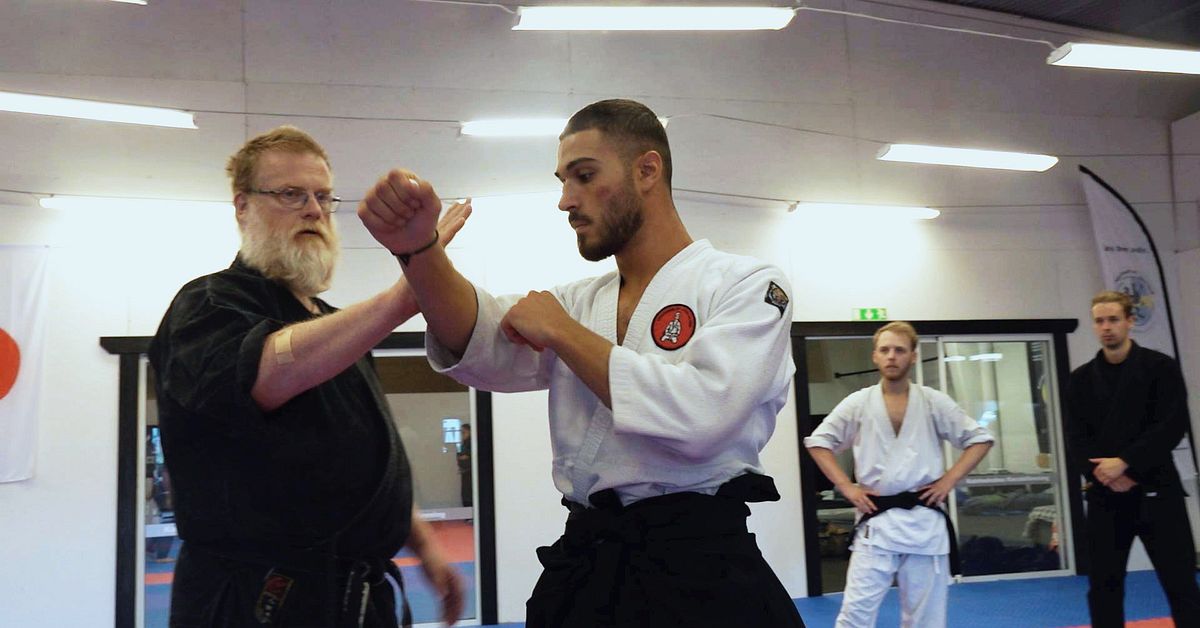 Självförsvar utan våld: Ju-shin-jutsu samlar kampsportare i Katrineholm ...