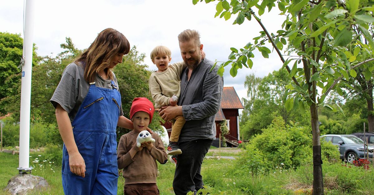 Alva och Anders driver självhushåll utanför Knivsta | SVT Nyheter