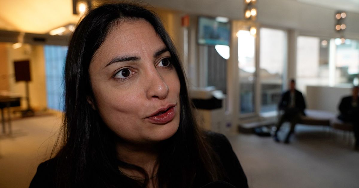 Dadgostar: Självklart ska man inte avbryta | SVT Nyheter