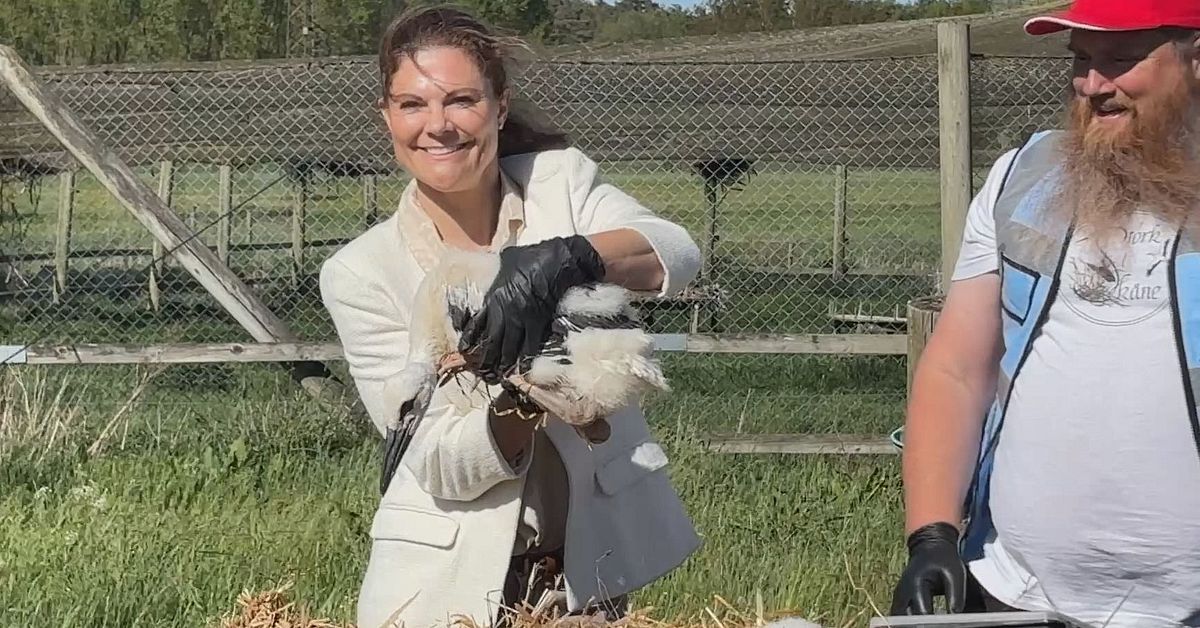 Kronprinsessan Victoria invigde nytt rike i Skåne | SVT Nyheter