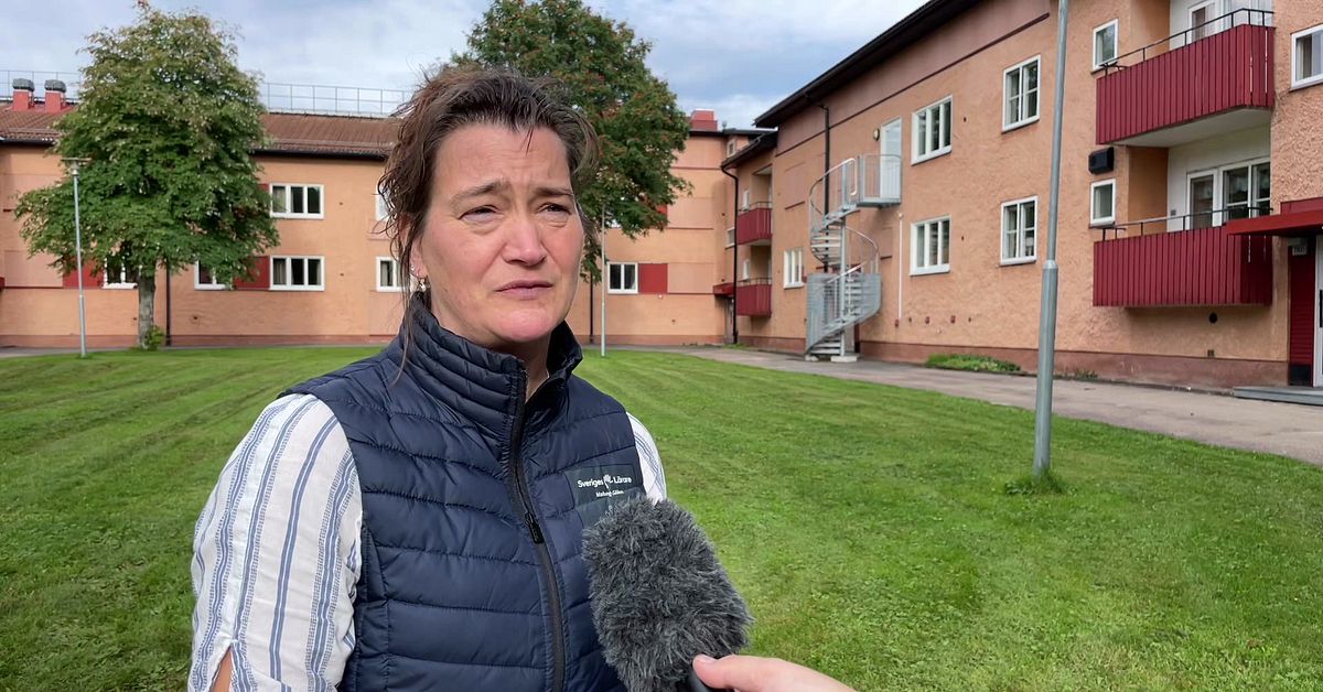 Besparingsförslaget: 18 tjänster bort från skolan i Malung-Sälens ...