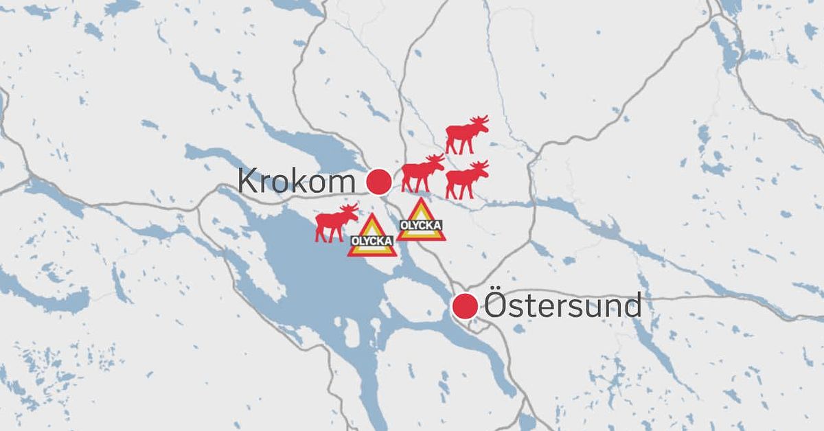 Två älgolyckor i Krokom på 15 minuter – en person till sjukhus | SVT ...