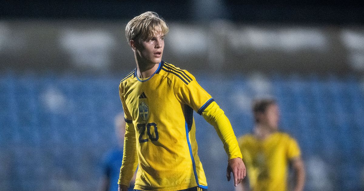 Fotboll: Svenska truppen till Nations League presenterad – Lucas ...