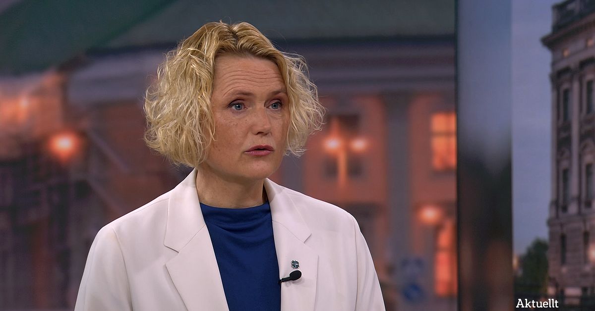 Anna-Karin Hatt: ”Ett hot mot demokratin” | SVT Nyheter