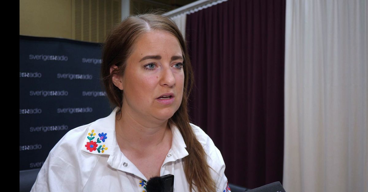 Emma Wiesner om Centerpartiets syn på hatbrott inom EU | SVT Nyheter
