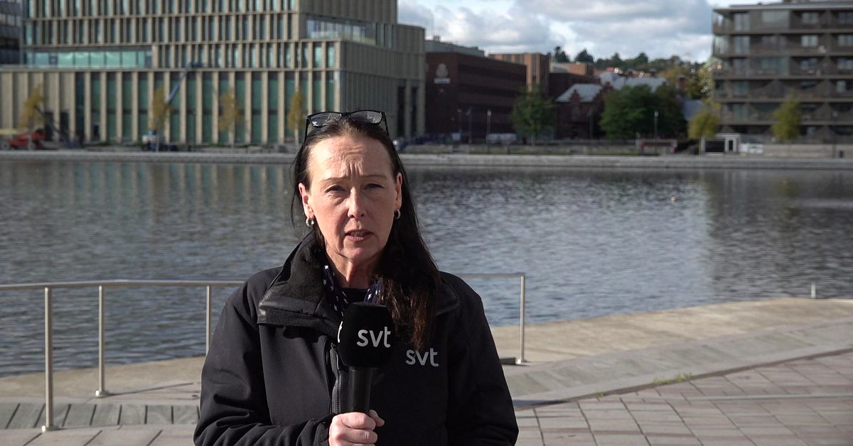 Fyra rättsläkare hörs i Tovefallet | SVT Nyheter