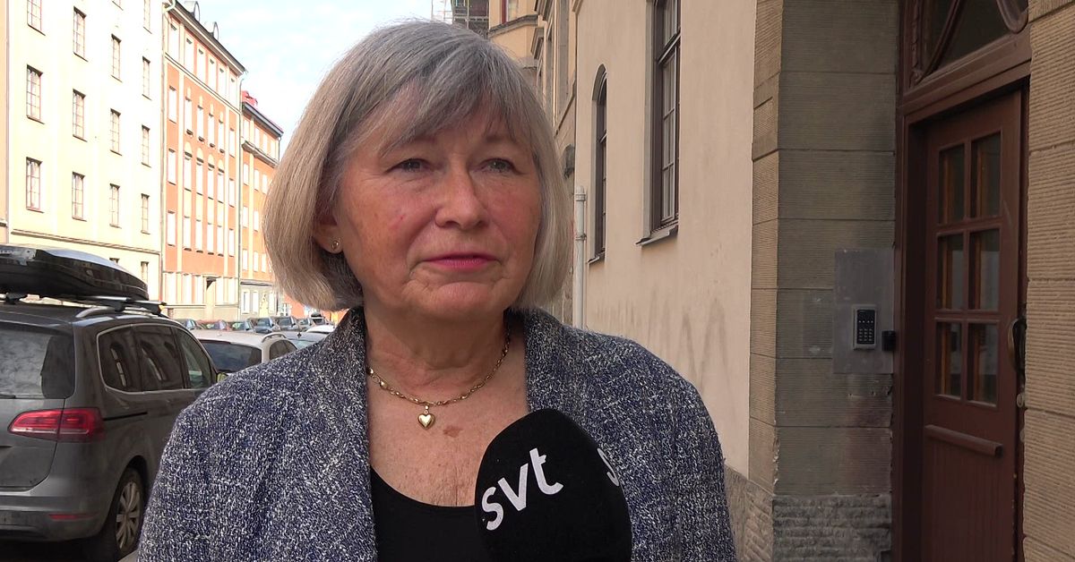 Lena Nyberg om nya rollen: ”Ärofyllt, viktigt och utmanade” | SVT Nyheter