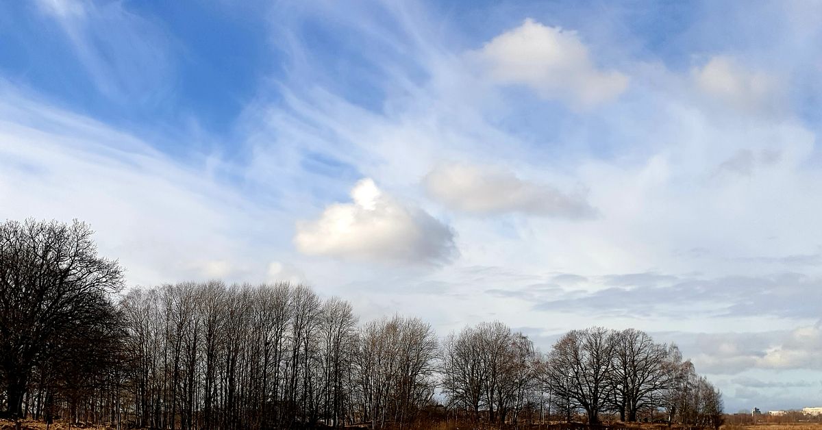 Tittarbilder februari 2025 – skicka din bild till SVT Väder | SVT Nyheter